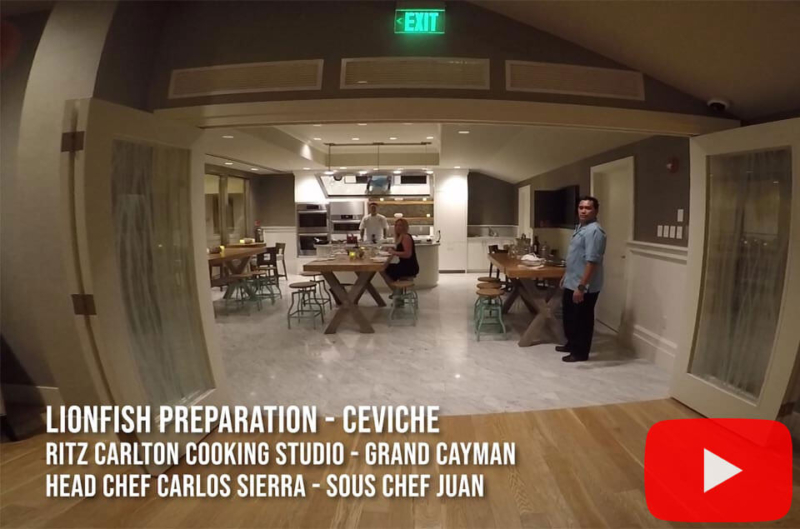 Lionfish Information: Hunting, Safety, Cooking & More - Lionfish Divers