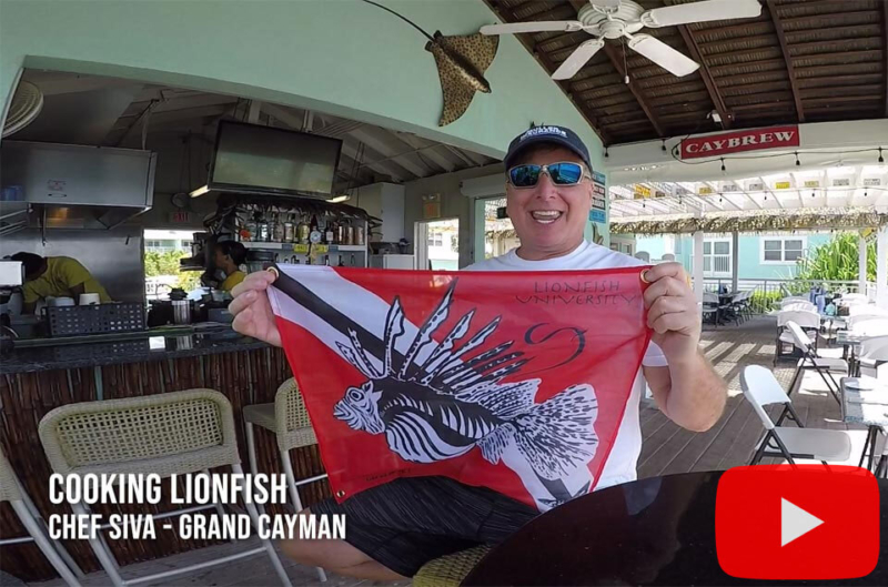Ways to Prepare and Cook Lionfish - Lionfish Divers