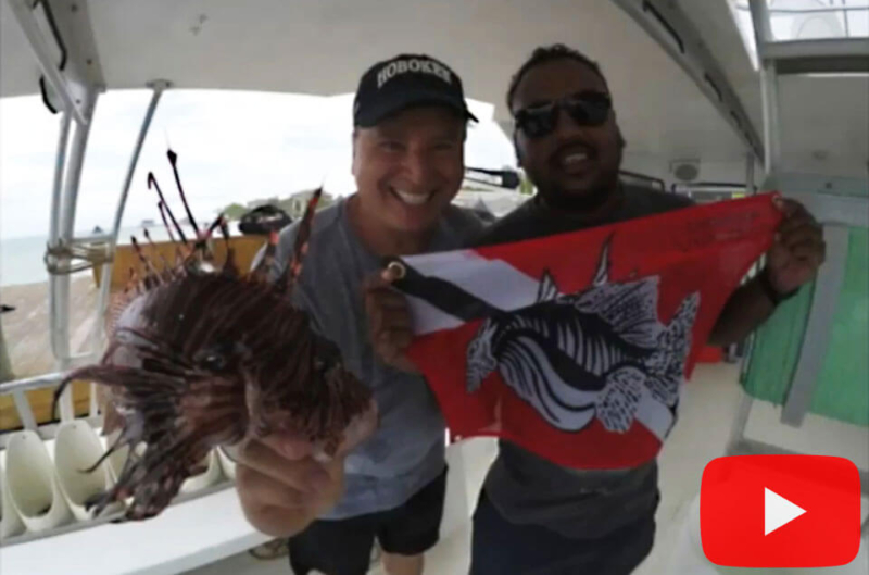 Lionfish Hunting in Jamaica - Lionfish Divers