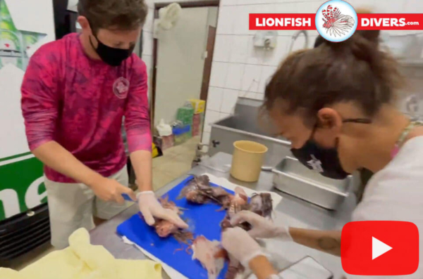 Ways to Prepare and Cook Lionfish - Lionfish Divers