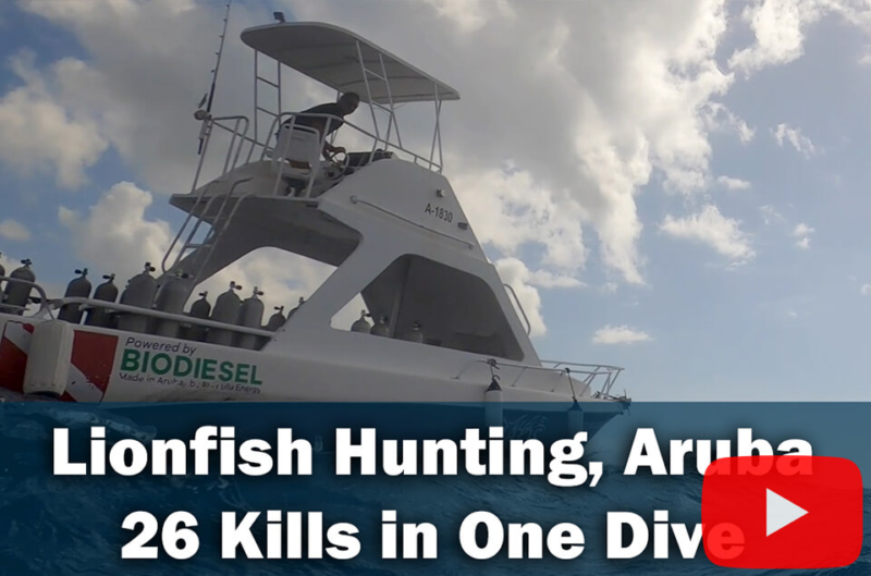 Lionfish Hunting - Lionfish Divers