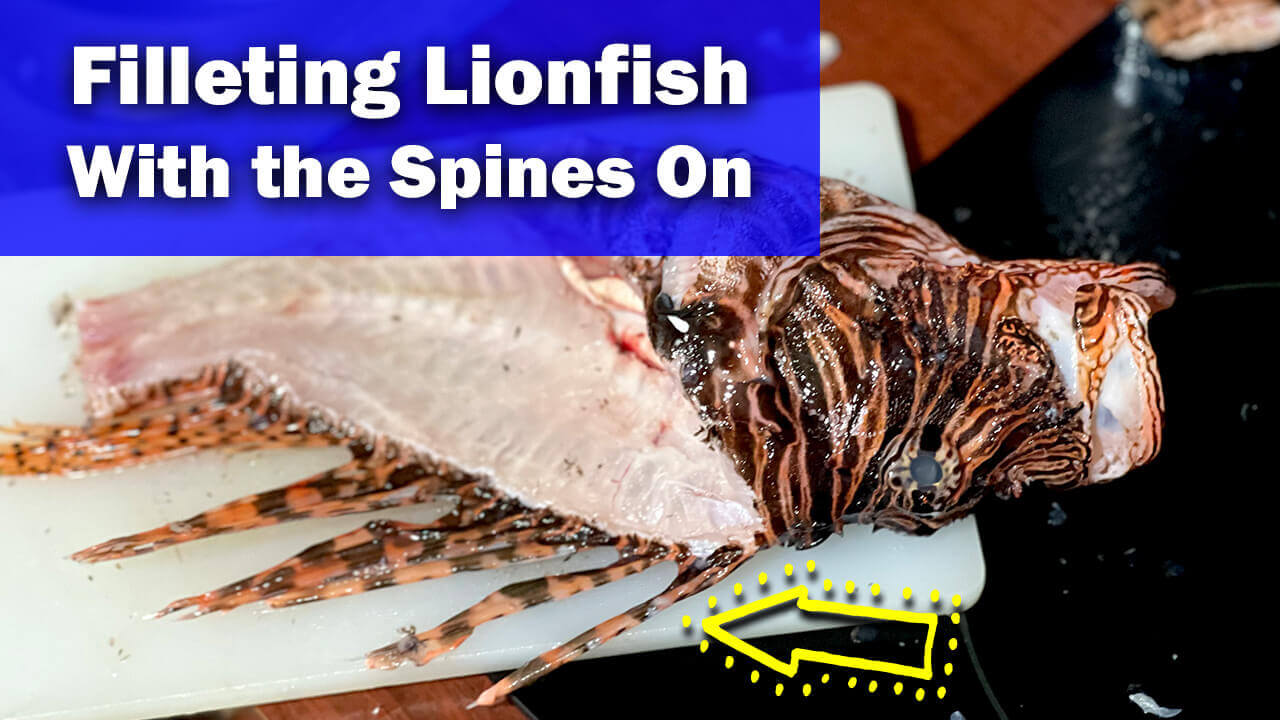 Filleting Lionfish Without Removing the Spines - Lionfish Divers
