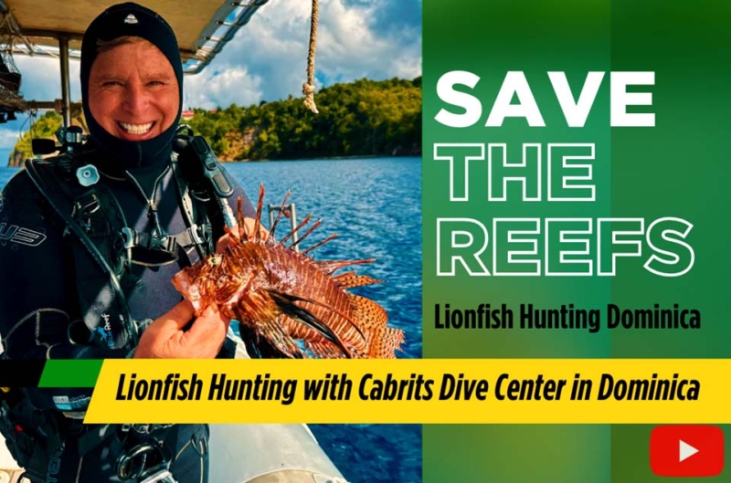 Lionfish Hunting: How to Hunt Lionfish - Lionfish Divers